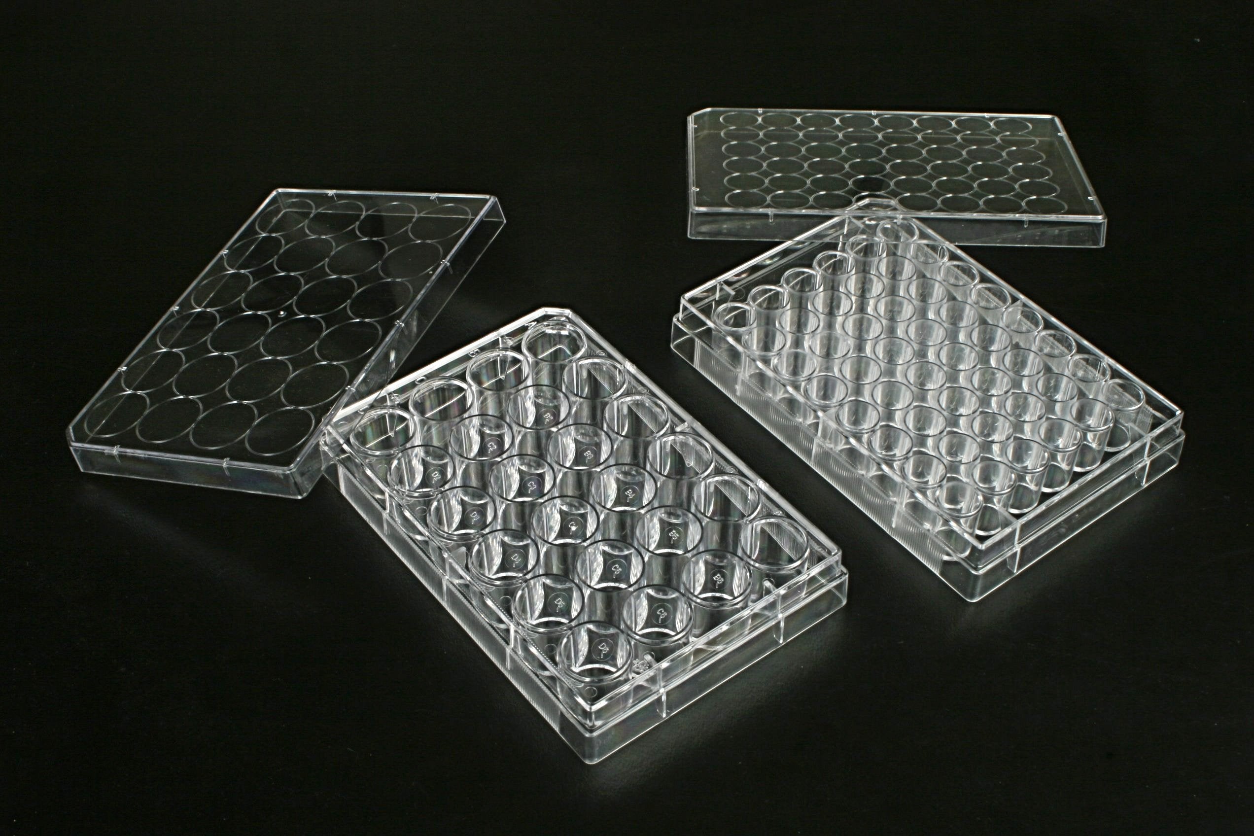 48 Well, Multi Well Cell Culture Plates, 1 plate/bag, 100/cs – laguna ...